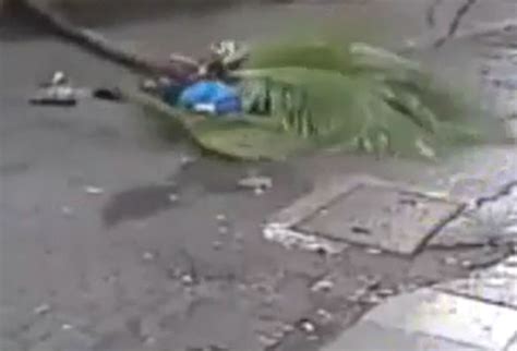 Cuando Te Toca Ni Aunque Te Quites Palmera Mata A Conductora De TV