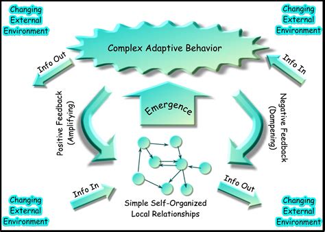 complex adaptive system psychology wiki fandom powered by wikia