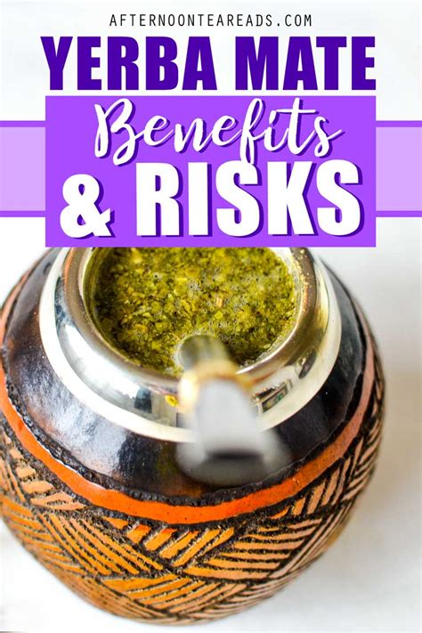 Benefits Of Drinking Yerba Mate Tea Informacionpublica Svet Gob Gt