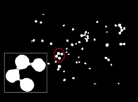 image segmentation using watershed transform download scientific diagram