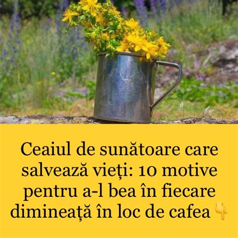 Ceaiul De Sun Toare Care Salveaz Vie I Motive Pentru A L Bea N