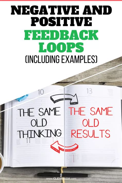 Negative And Positive Feedback Loops Including Examples Artofit