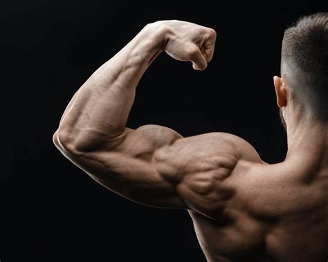 5 Foolproof Ways To Build Muscular Shoulders Breaking Muscle