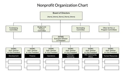 Non Profit Organizational Chart Fillable Printable Pdf And Forms The