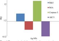 SciELO Brasil Investigating The Expression Of Genes Involved In