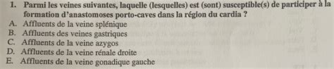 Vascularisation Abdomen Et Petit Bassin Flashcards Quizlet