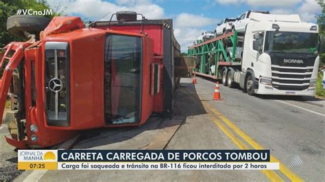 Carreta carregada porcos tomba no sudoeste da Bahia e animais são
