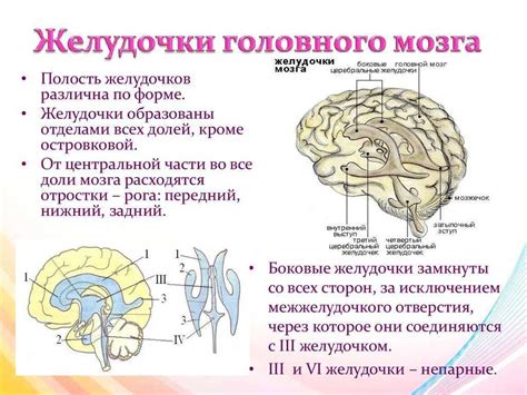 Что такое коса и мозг на двигателе 84 фото