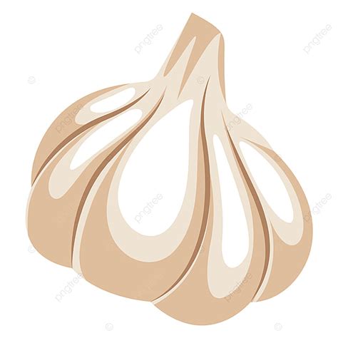 Ilustración De Vector De Ajo Blanco De Dibujos Animados De Verduras En
