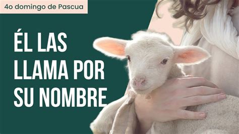 El Buen Pastor Da La Vida Por Sus Ovejas YouTube