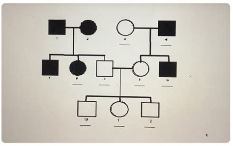 Pedigree Analysis Flashcards Quizlet