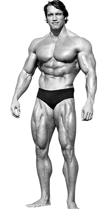 Comparación De Tamaño Arnold Schwarzenegger Vs Dwayne Johnson The Rock
