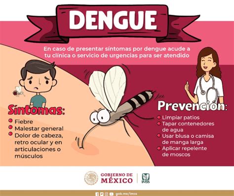Dengue Cómo puedes prevenirlo y cuáles son sus síntomas Mundo Sano