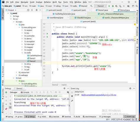 redis 使用java代码操作redis 极客之音