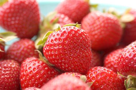 Free Images Plant Raspberry Fruit Berry Sweet Summer Food Red