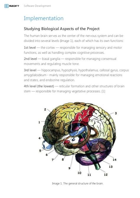 classification of eeg signals for brain computer interface