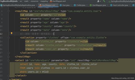 springboot整合mybatis实现简单的一对多级联查询 springboot集成mybatis一对多查询 csdn博客