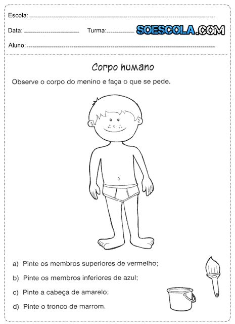 Atividades De Ci Ncias Ano Corpo Humano S Escola