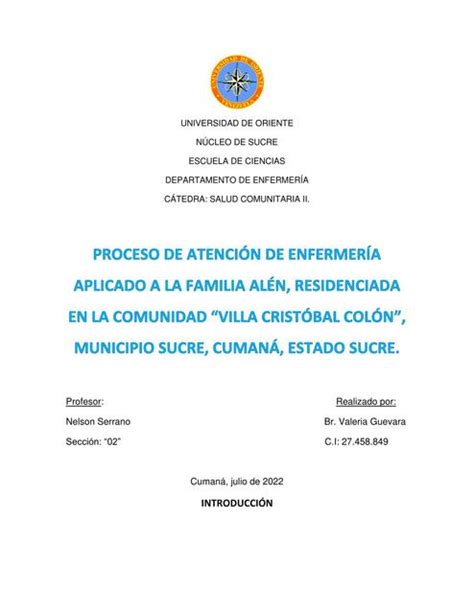 Proceso De Atenci N En Enfermer A Aplicado A La Familia Al N Valeria