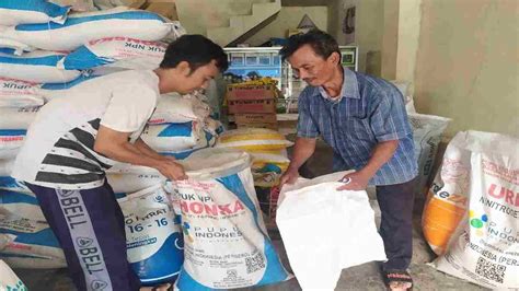 Petani Di Kecamatan Baregbeg Ciamis Menjerit Pupuk Bersubsidi