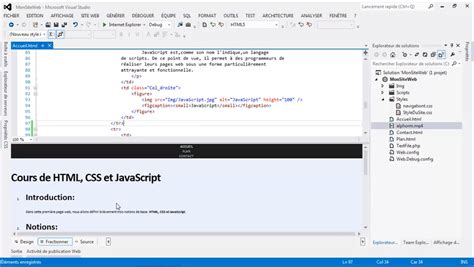 formation html5 javascript et css3 le guide complet