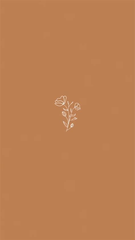 Neutral Aesthetic Background Follow Shannon Shaw For More Fall