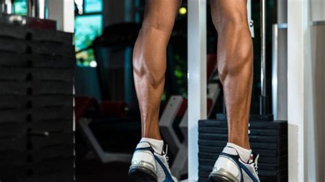 5 exercícios para fortalecer e desenvolver as panturrilhas