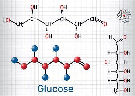 Complex Carbohydrates Molecular Structure