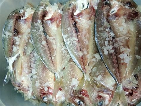 Cara Nak Buat Ikan Masin Basah Mohammed Has Vega
