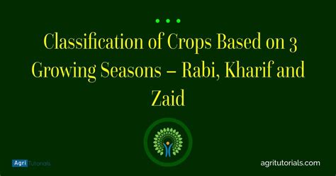 Classification Of Crops Based On 3 Growing Seasons Rabi Kharif And