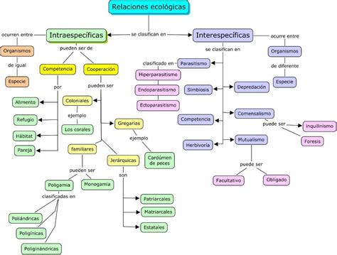 Mapa Conceptual De Las Interacciones Ecologicas XIli