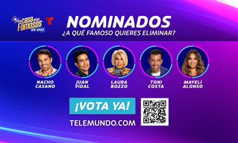 Guía cómo votar en La casa de los famosos La Neta Neta