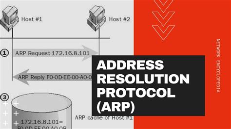 Address Resolution Protocol And The ARP Command Network Encyclopedia