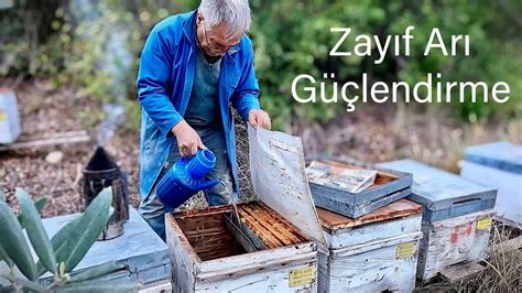 Zayıf Arıyı Güçlendirme Ve Arı Şerbet Verme Arıcılık YouTube