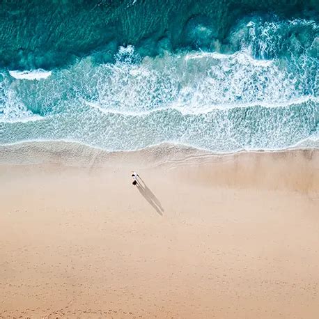 Yas Island And Saadiyat Island Abu Dhabi Break Records With Over