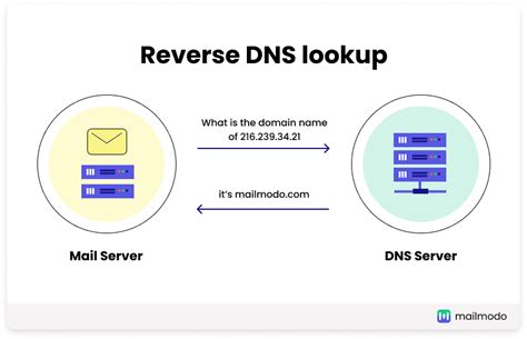 What Is Reverse DNS Lookup And How To Perform It