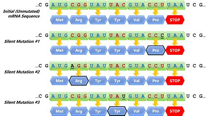 Point Mutation Definition