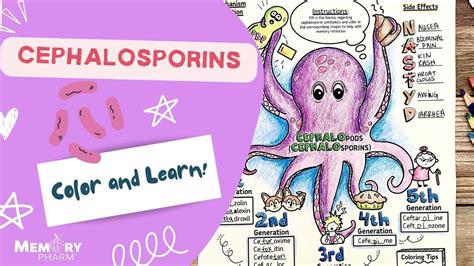 Cephalosporin Antibiotics Made Easy Mnemonics Mechanism Of Action