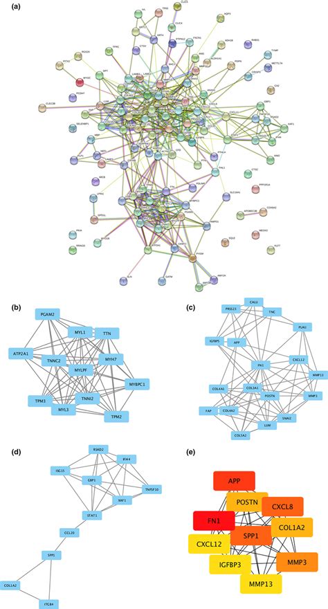 Proteinprotein Interactions PPI Network Module Analysis And Hub