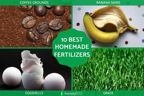 10 Best Homemade Organic Fertilizers For The Garden With Method