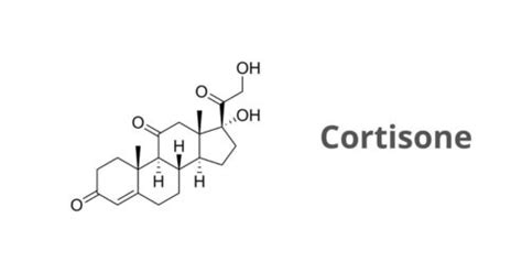 Cosa Succede Se Si Interrompe Il Cortisone Senza Scalare Torrinomedica
