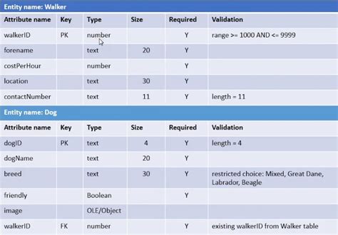 Business Data Dictionary Template Parahyena