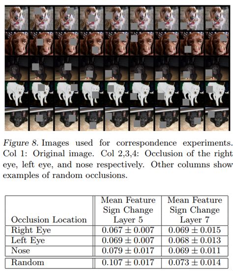 Visualizing And Understanding Convolutional Networks Zfnet