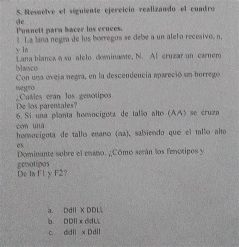 Resuelve El Siguiente Ejercicio Realizando El Cuadro De Punnett Para