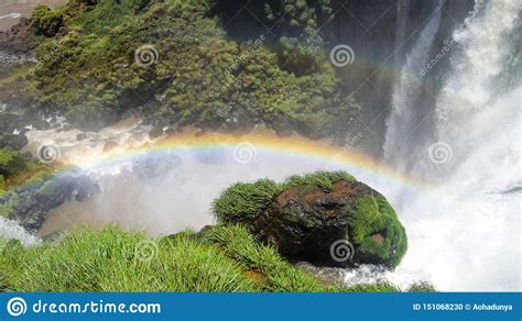 Las Cataratas Del Iguaz En La Frontera Del Brasil Y De La Argentina
