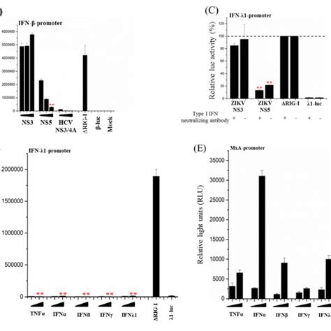 ZIKV NS5 Inhibits IFN Induced Pathway HEK293 Cells Were Co Transfected