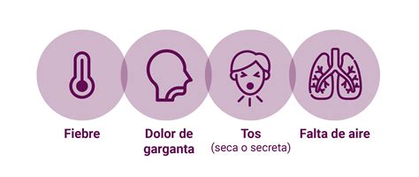 Coronavirus Qué es síntomas y transmisión Diagnostico Maipú