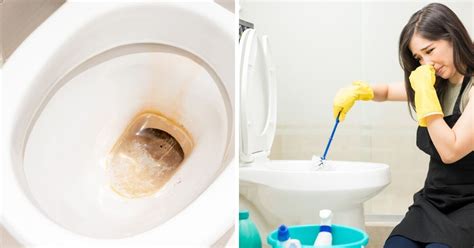 Tres efectivos trucos para destapar tu inodoro Porlavisión