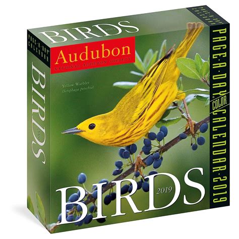 Amazon Audubon Birds Page A Day Calendar 2019 9781523503681