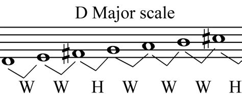 Scales Are Collections Of Notes Arranged In Patterns Of Half Steps